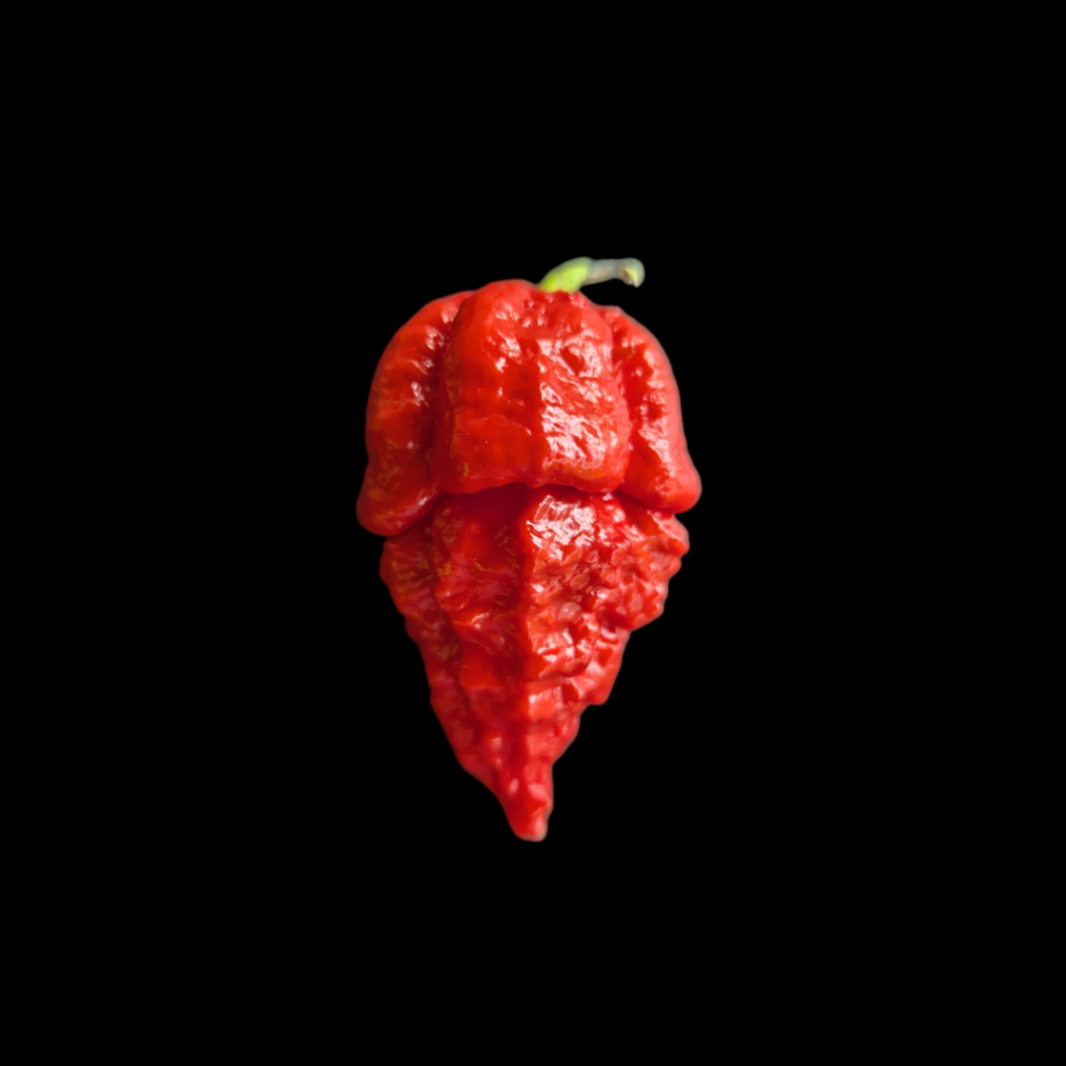Super Hot Pepper Seeds – Scoville Canada