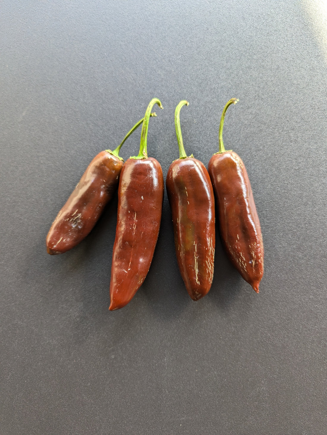 Jalapeño Chocolate – Scoville Canada