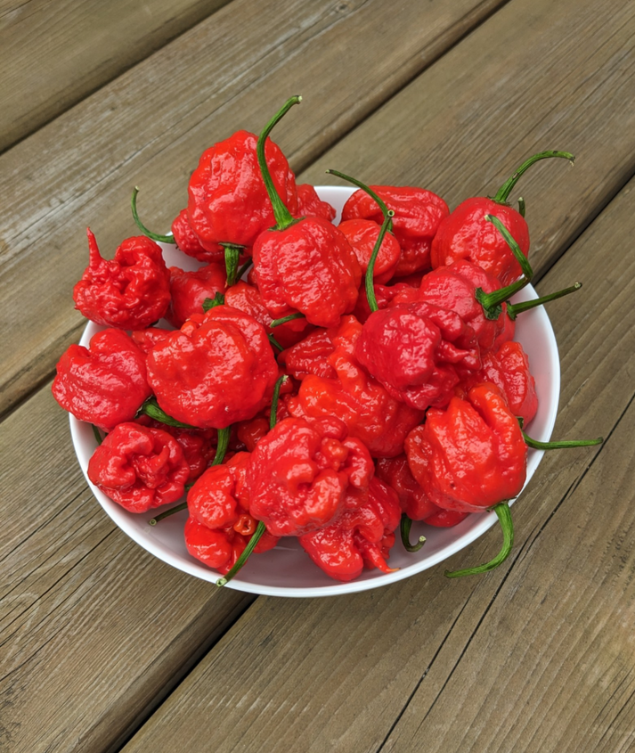 Carolina Reaper – Scoville Canada