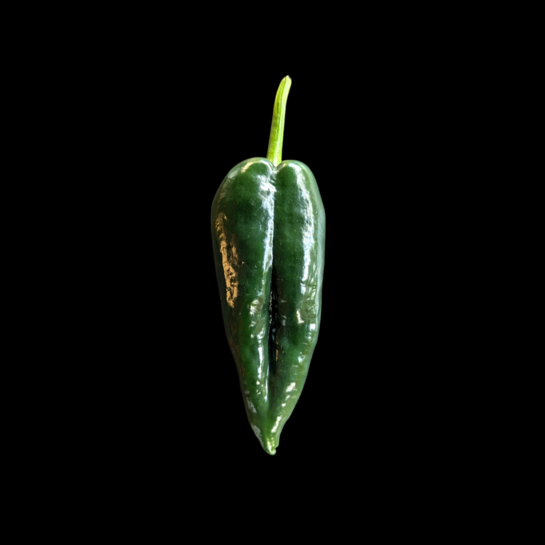 Poblano – Scoville Canada
