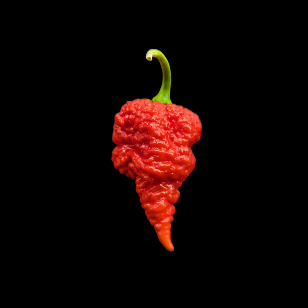 RB003 – Scoville Canada
