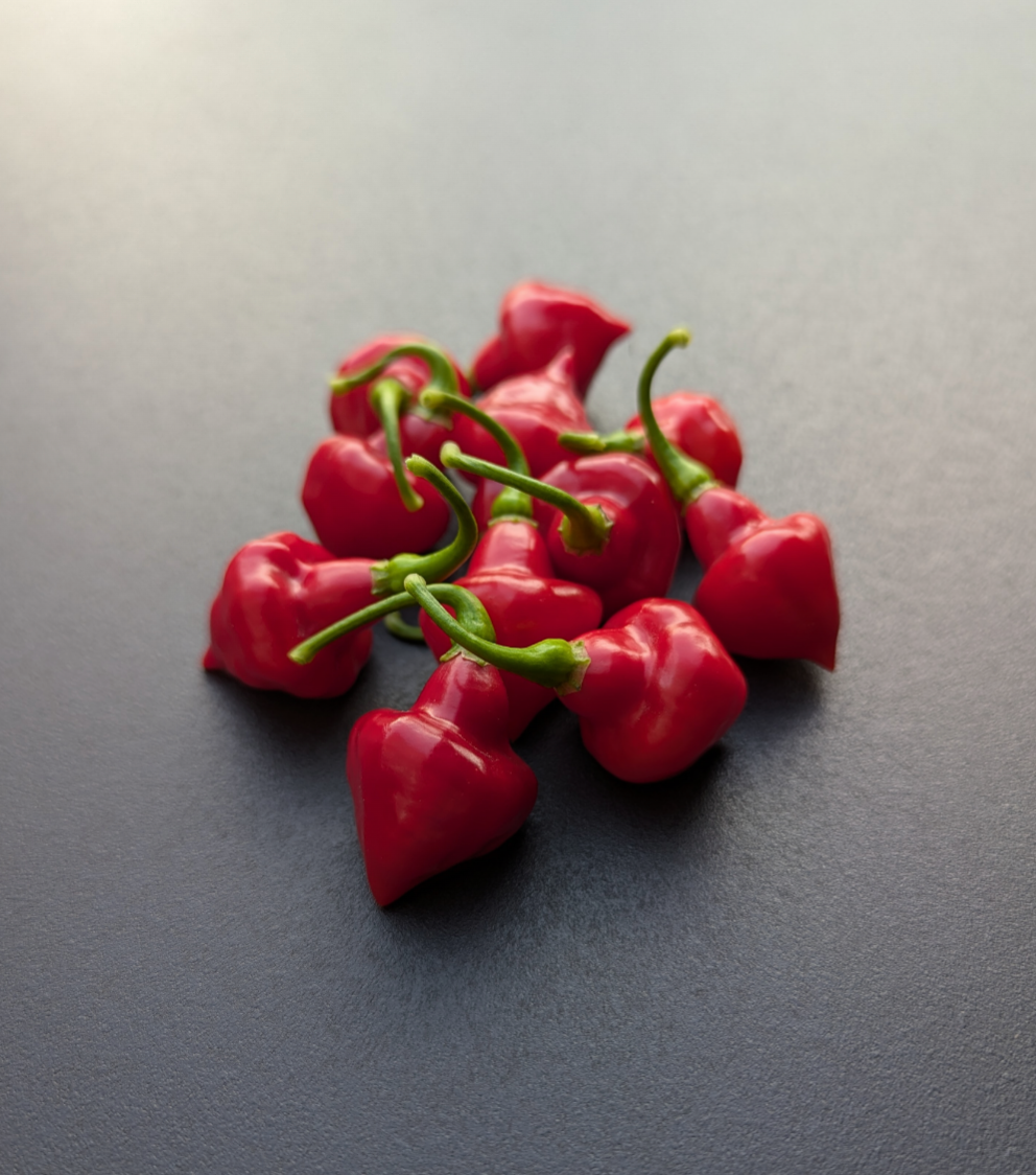Spinning Top – Scoville Canada